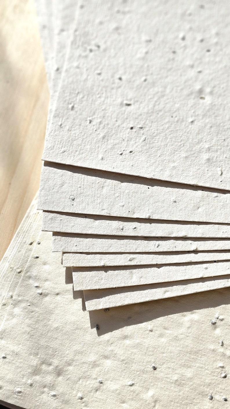 Plantable Herb Seed Paper Sheet, Handmade Recycled Paper - Etsy