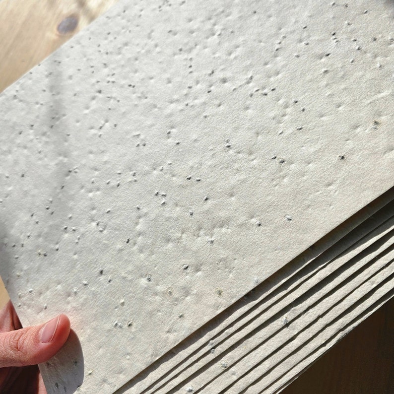 Plantable Herb Seed Paper Sheet, Handmade Recycled Paper - Etsy