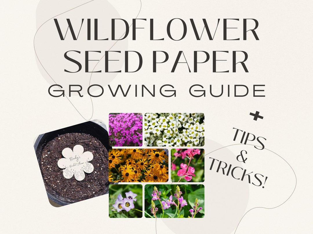 Seed Paper Growing Instructions for Wildflower Seed Paper Instructions ...