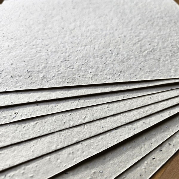 Seed Paper - Etsy