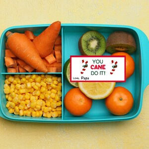 Christmas Lunch Box Notes for Kids | Winter Lunchbox Notes | Christmas ...