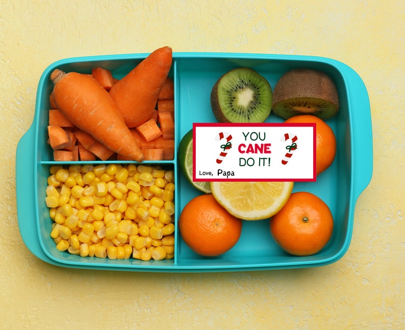 Christmas Lunch Box Notes for Kids Winter Lunchbox Notes - Etsy