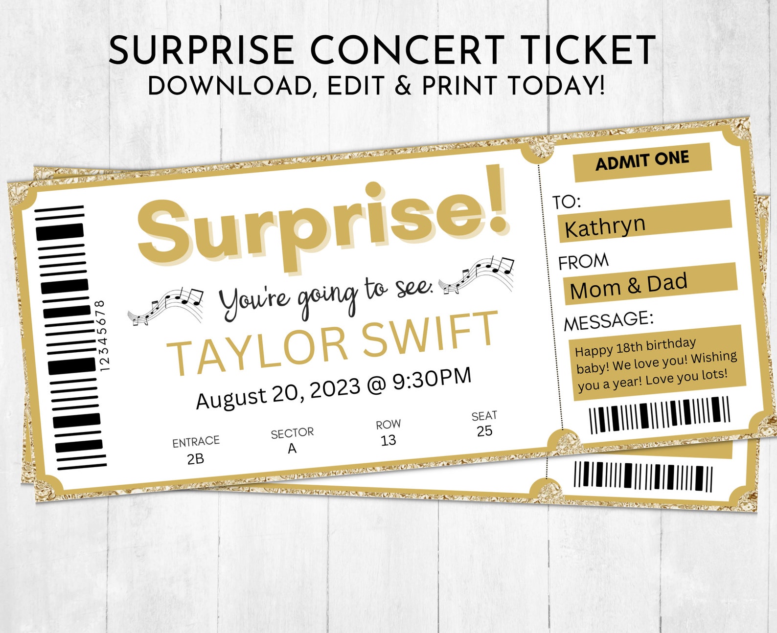 Printable Concert Ticket Template Surprise Concert Gift - Etsy