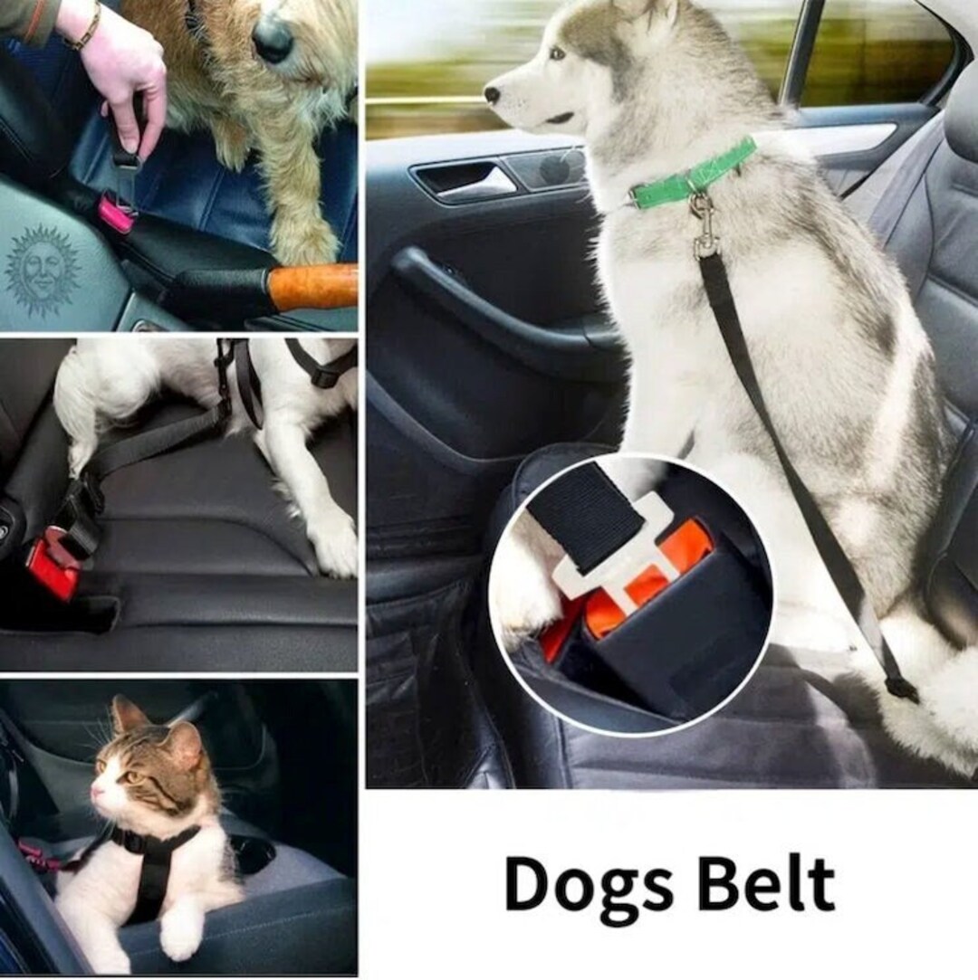 Dog or Cat Car Seat Belt Safety Restraint - Etsy