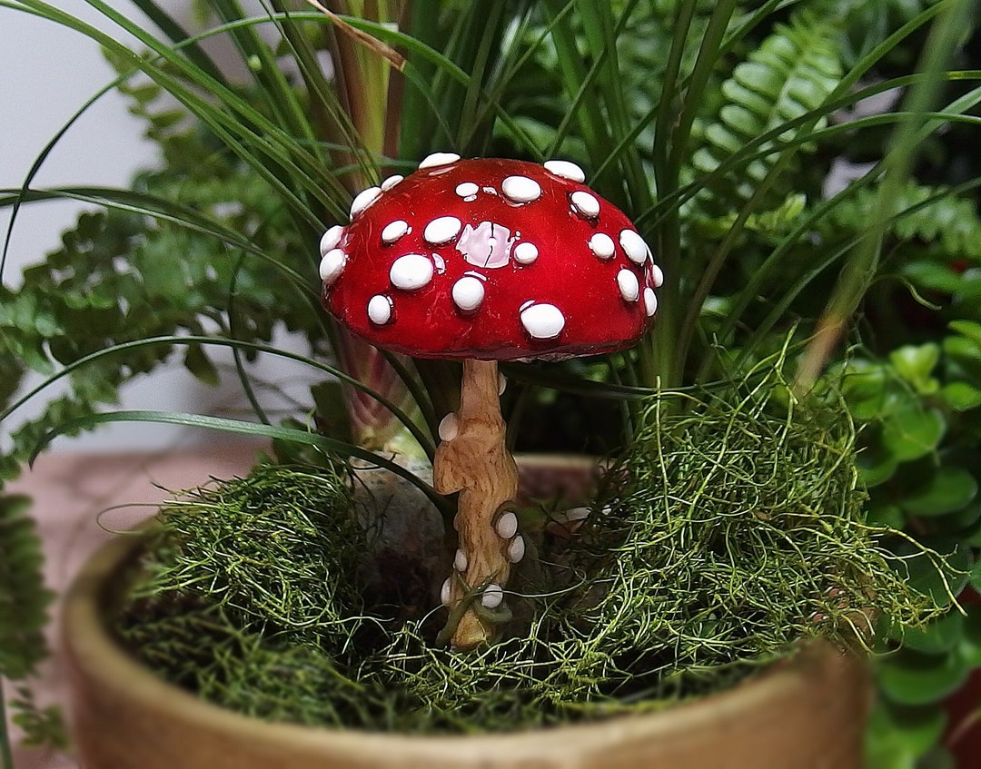 Red Mushroom Forest Toadstool Amanita Mushroom Ornament Plant ...