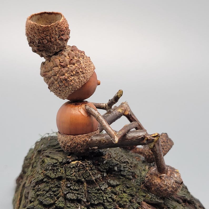 Oakie Acorn Elf Sitting in Nature. A Whimsical, Acorn Figurine Mounted ...