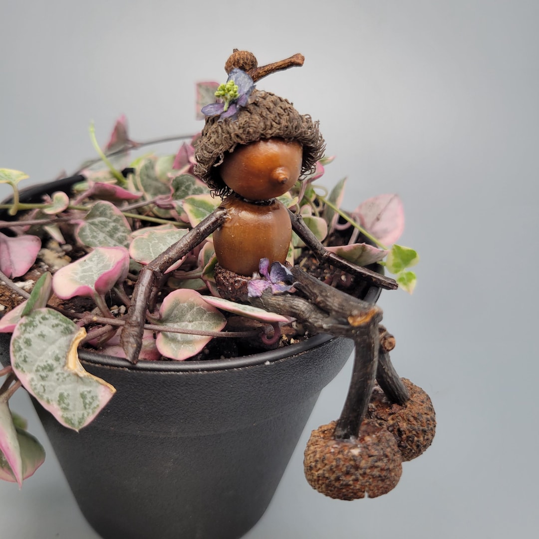 Oakie Acorn Elf, Sitting With Her Legs Crossed. A Lovely, Fantasy Art ...