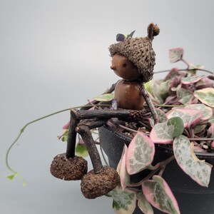 Oakie Acorn Elf, Sitting With Her Legs Crossed. A Lovely, Fantasy Art ...