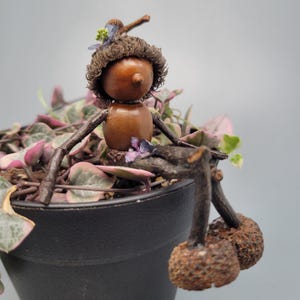 Oakie Acorn Elf, Sitting With Her Legs Crossed. A Lovely, Fantasy Art ...