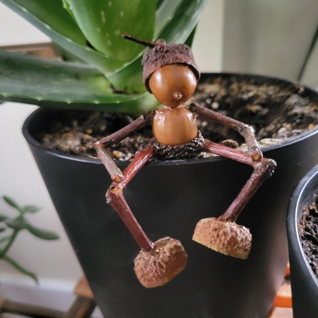 Oakie Acorn Elf Sitting on the Edge Plant Hugger. - Etsy