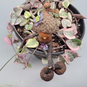 Oakie Acorn Elf, Sitting With Her Legs Crossed. A Lovely, Fantasy Art ...