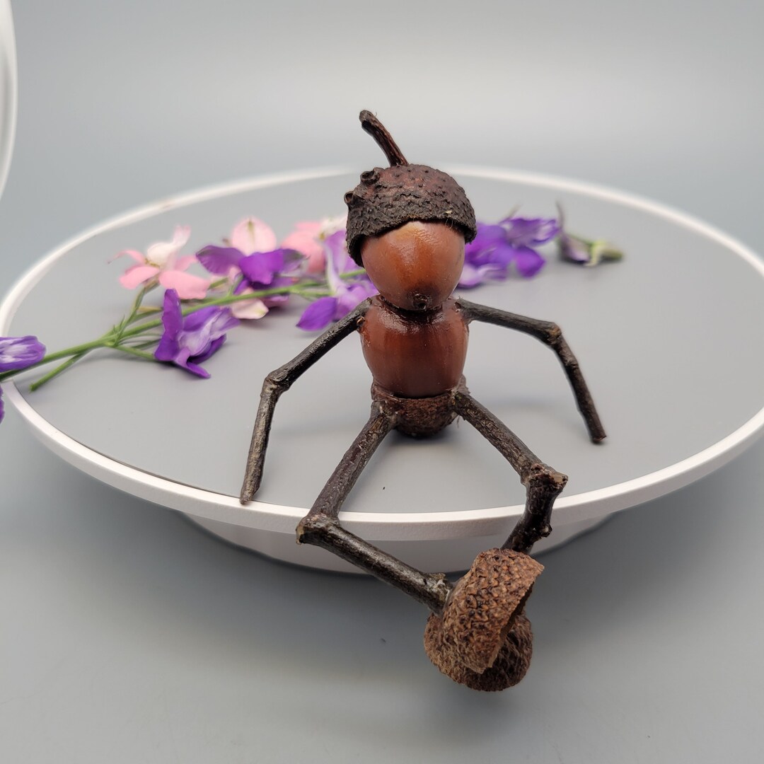 Oakie Acorn Elf Photo Prop. Fantasy Art - Etsy