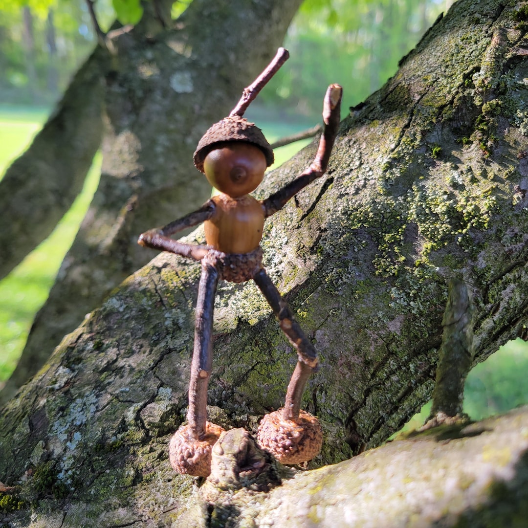 Oakie Acorn Elf, Nature Photo Prop, Fantasy Art, Nature, Photography ...
