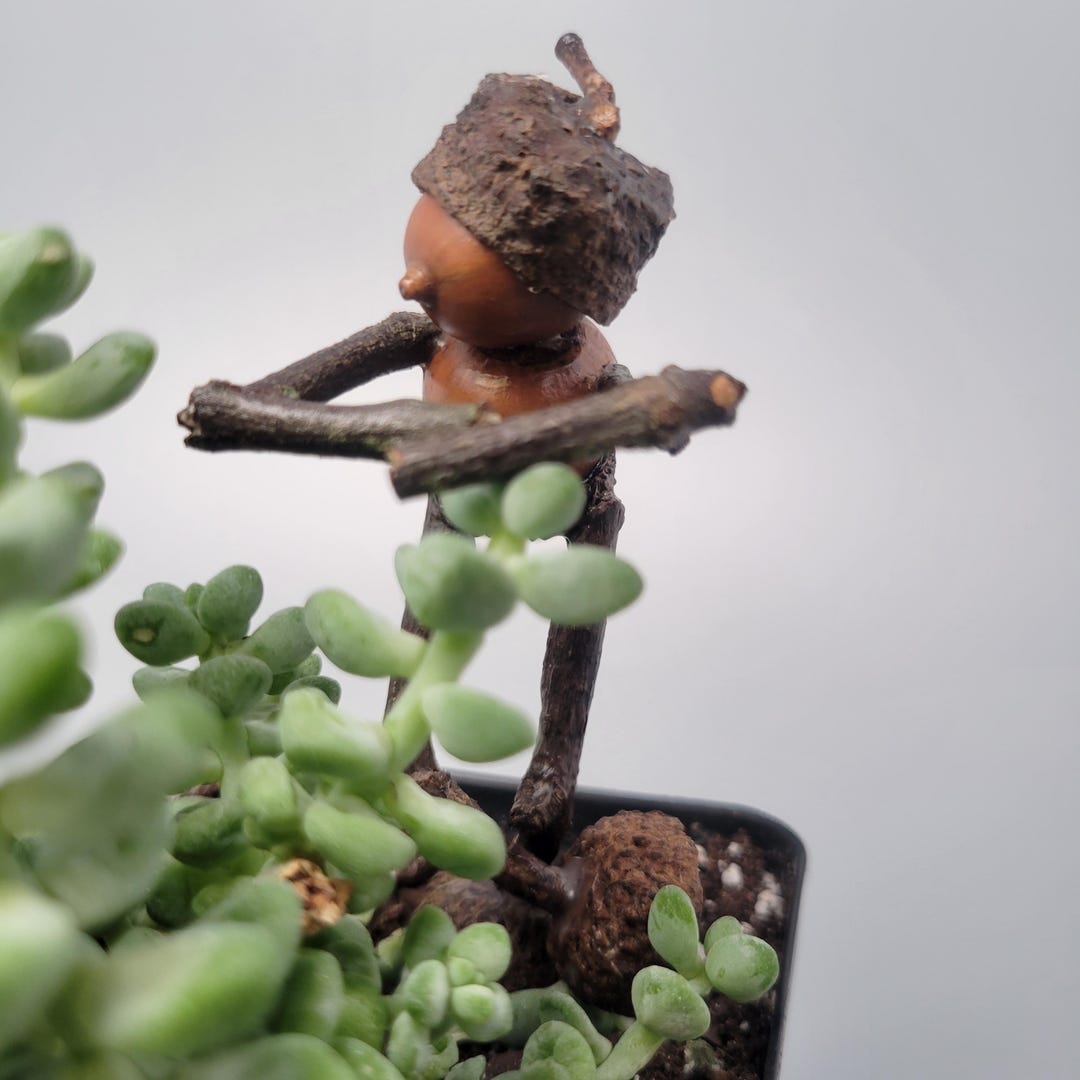Oakie Acorn Elf Plant Hugger or Nature Photo Prop. Fantasy Art Figurine ...