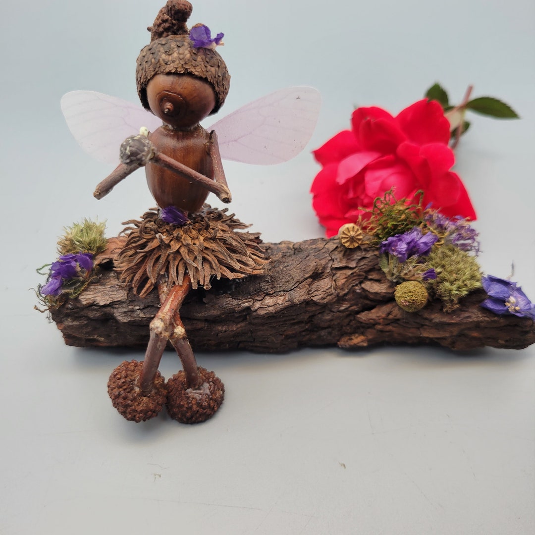 Oakie Acorn Elf Fairy Checking on One of Her Forest Friends, the Turtle ...