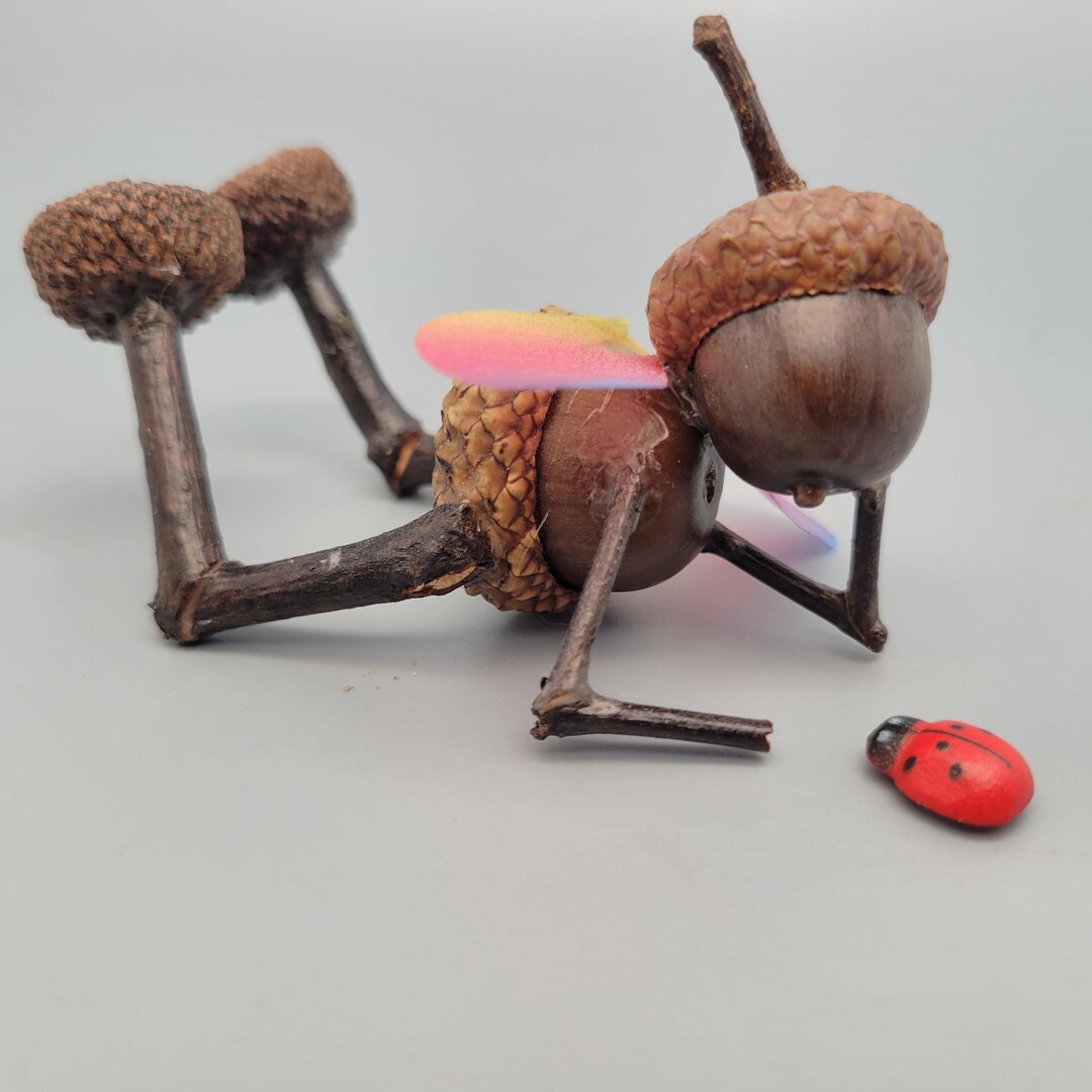 Oakie Acorn Elf Fairy, Laying on Her Stomach Watching a Ladybug. A ...