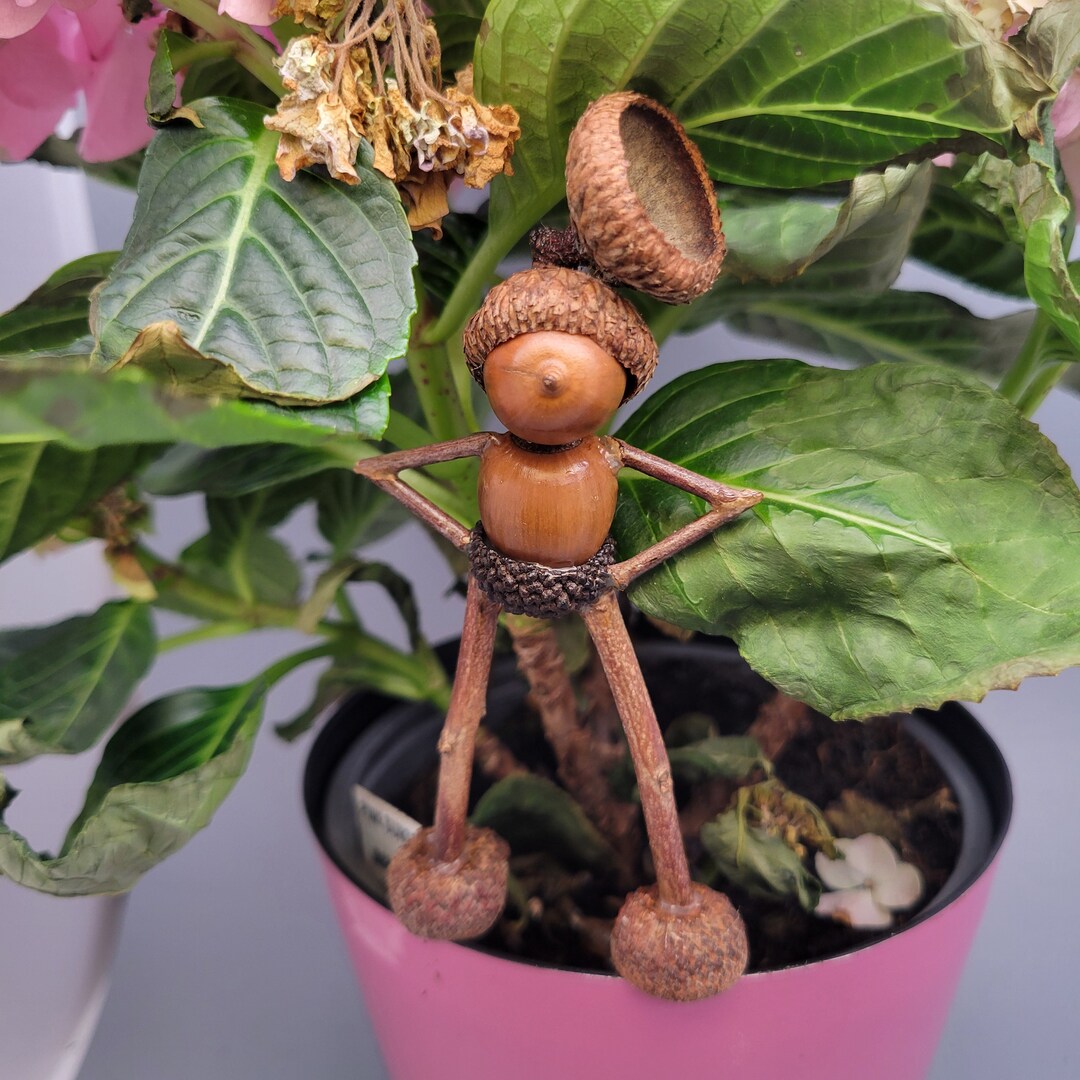 Oakie Acorn Elf Fantasy Art Sculpture. - Etsy