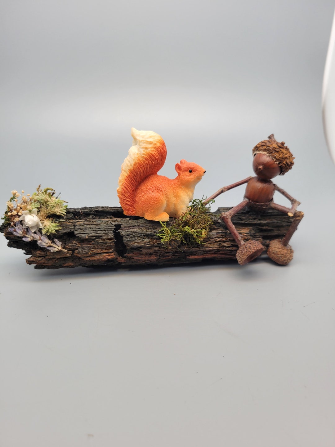 Oakie Acorn Elf Sitting on a Log, Making Friends With a Squirrel. A ...