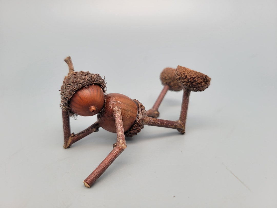 Oakie Acorn Elf Photo Prop. - Etsy