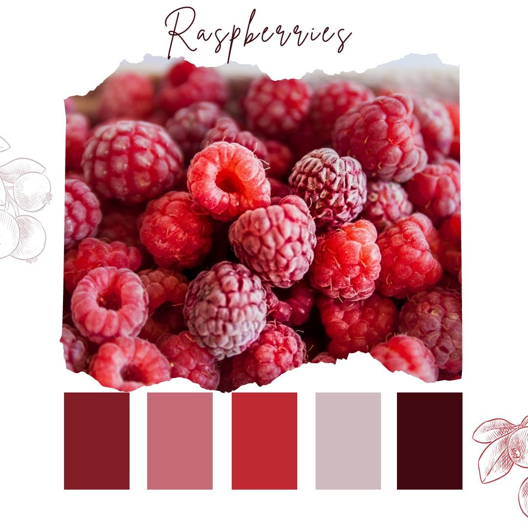 Raspberries Palette Hex Codes for Business Branding, Wedding Planning ...