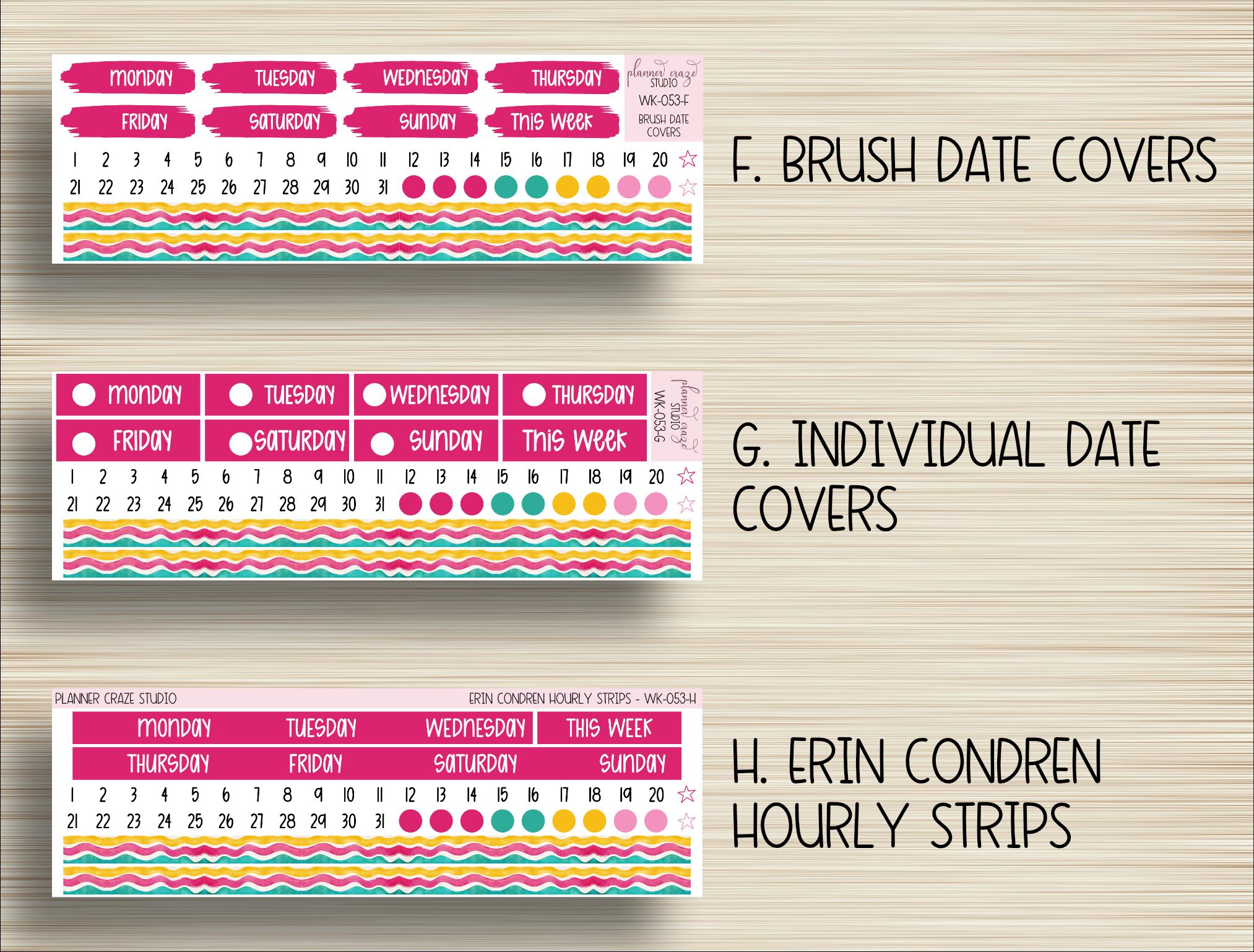 Weekly Planner Stickers, Planning, EC, Labels, Erin Condren Life ...