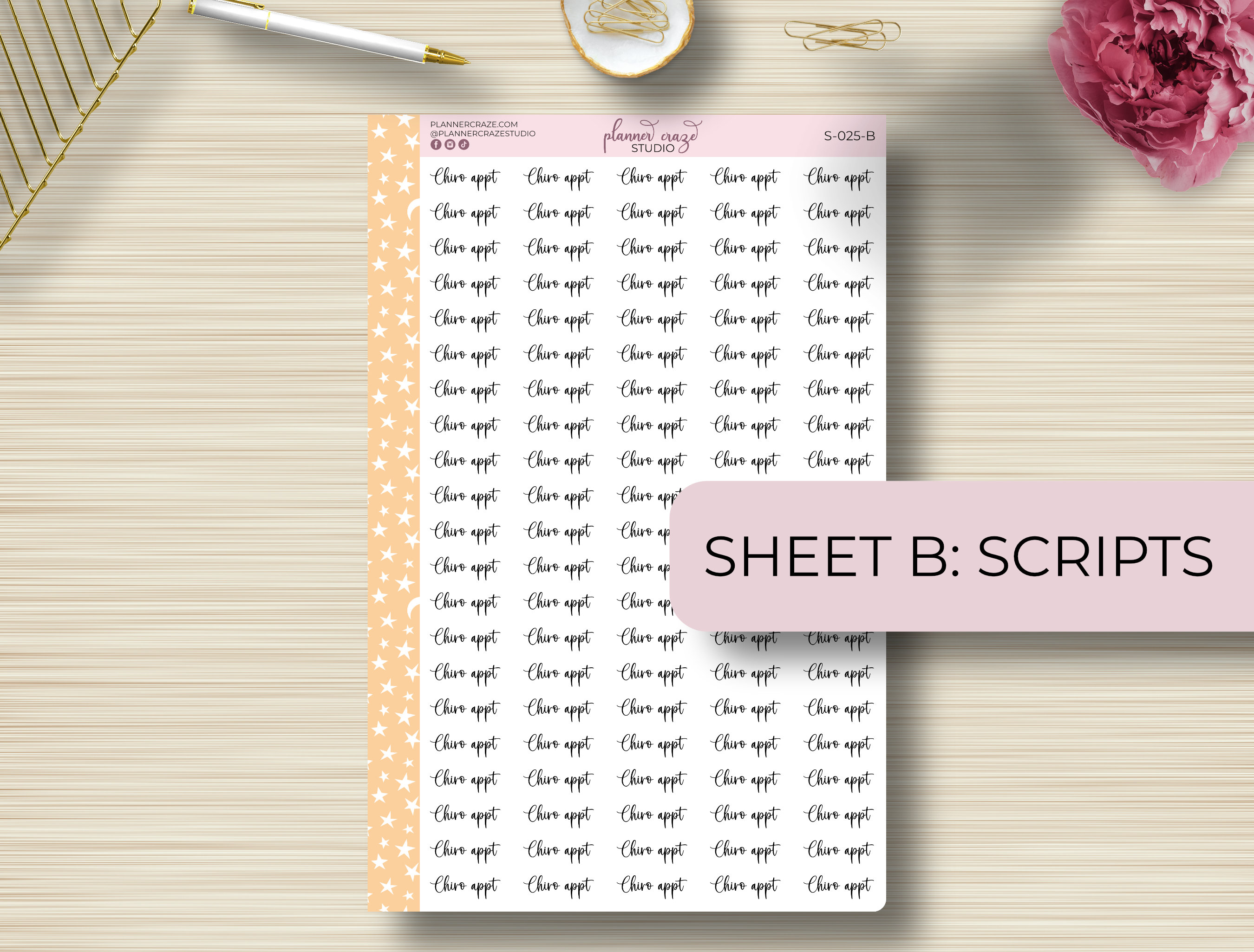 Chiro Appt Stickers Appointment Scripts Chiropractor - Etsy