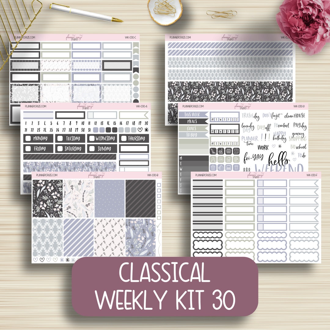 Weekly Planner Stickers, Planning, EC, Labels, Erin Condren Life ...