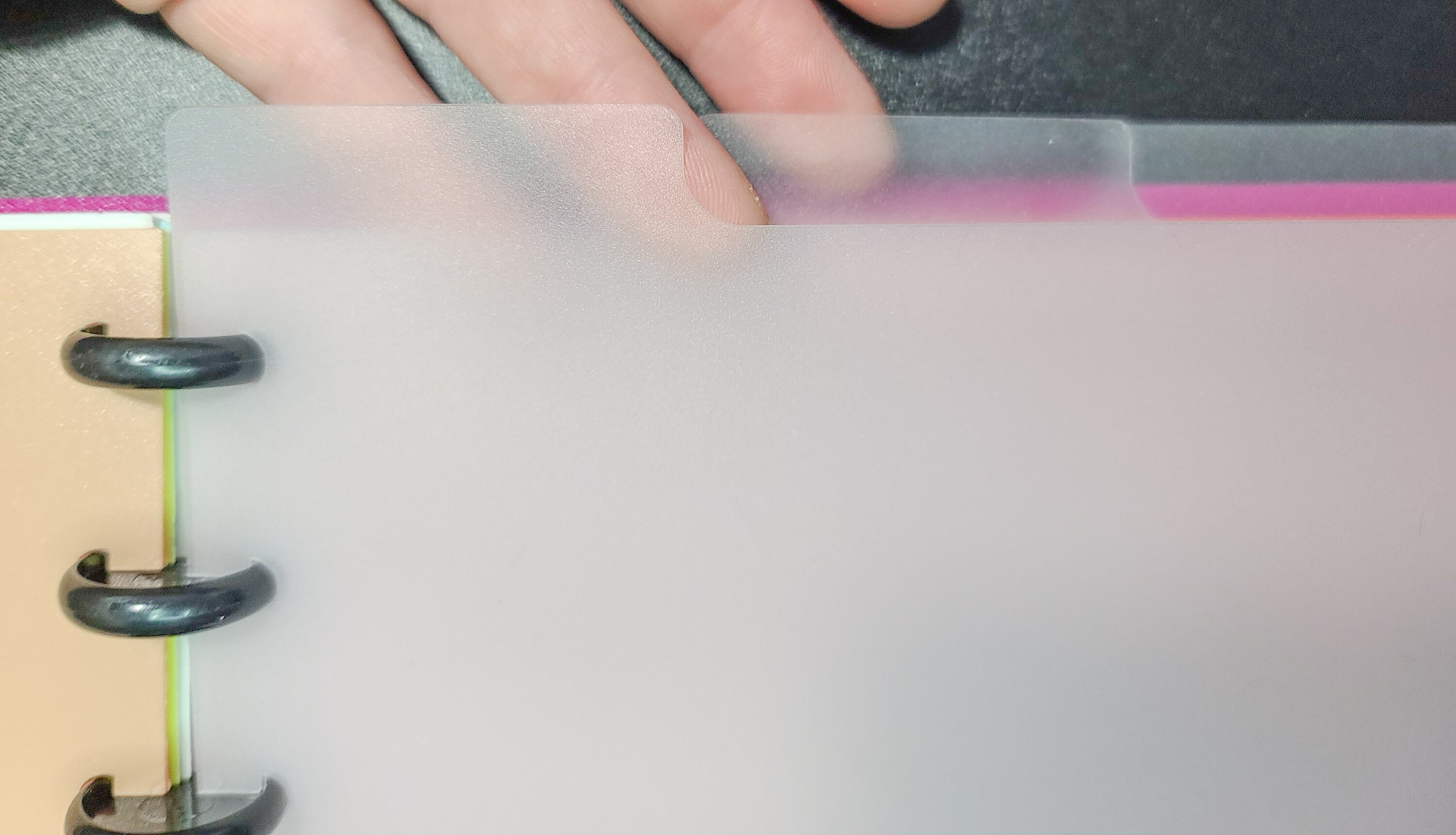 TOP Tabs, BIG HP Frosted Dividers, Set of 4, Frosted Plastic, Disc ...