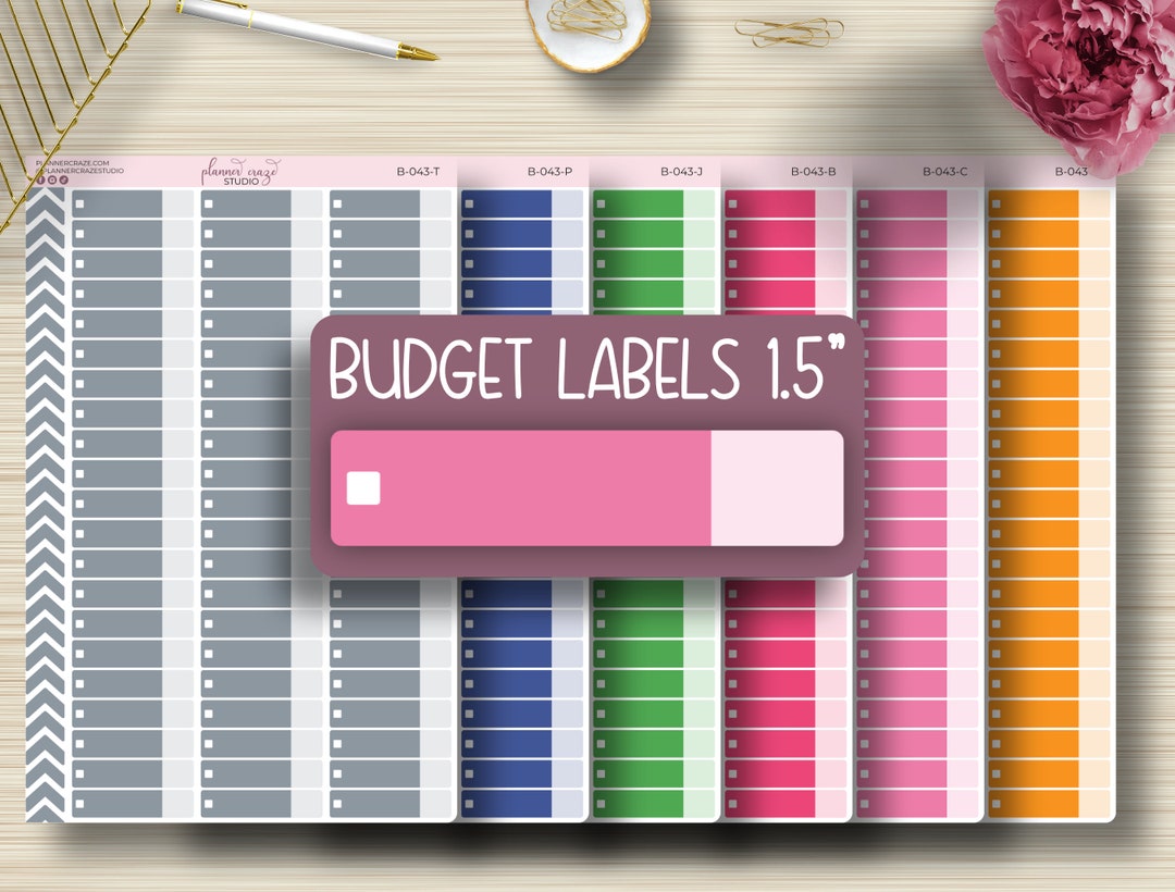 0.30" Budget Labels, Planner Stickers, Bills, Loans, Expenses, EC, Erin ...