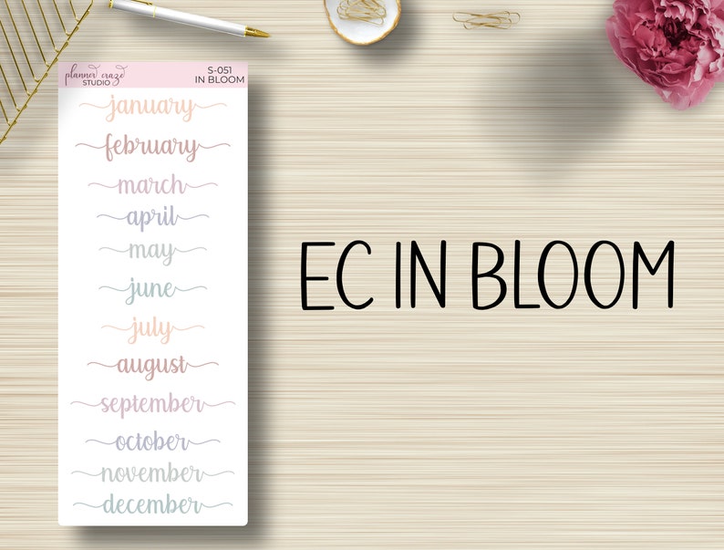 Month Planner Stickers Monthly Scripts Dashboard Planning - Etsy