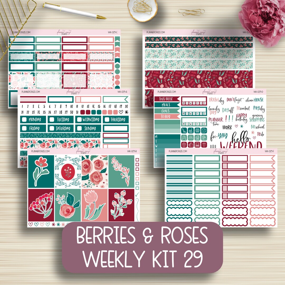 Weekly Planner Stickers, Planning, EC, Labels, Erin Condren Life ...
