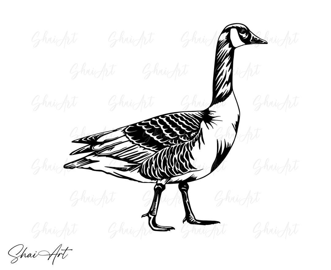 Goose Svg, Goose Hunting Svg, Hunting Svg, Svg, Png, Cricut, Dxf ...