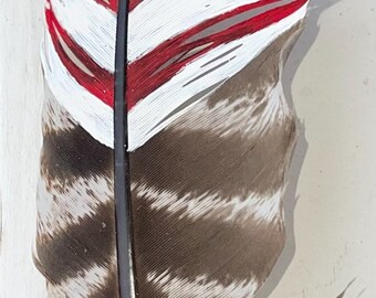 Painted Feathers | Etsy