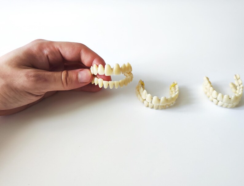 Realistic False Teeth Full Set of Teeth Denture False Teeth 28 Tooth ...