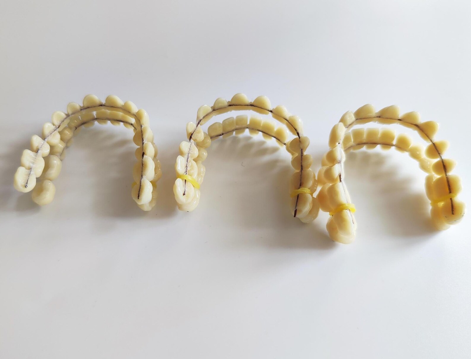 Realistic False Teeth - Full Set of Teeth Denture False Teeth 28 Tooth ...