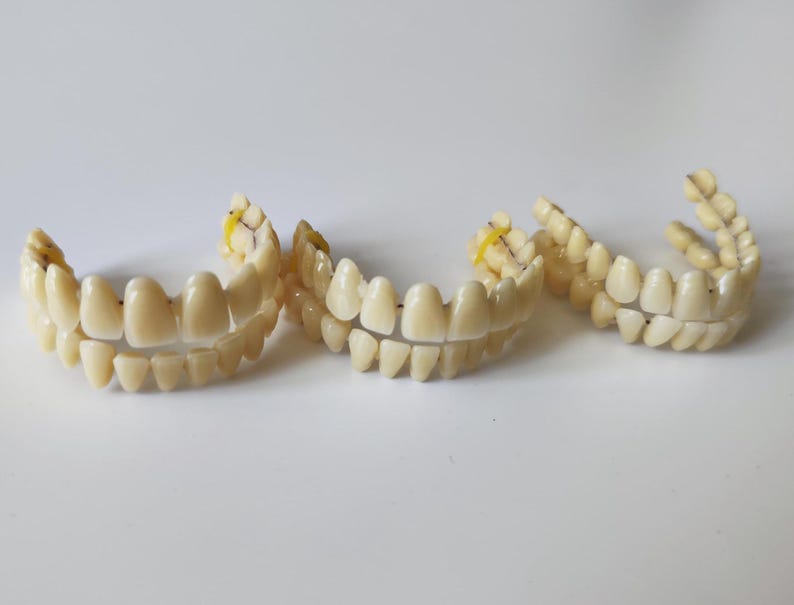 Realistic False Teeth - Full Set of Teeth Denture False Teeth 28 Tooth ...