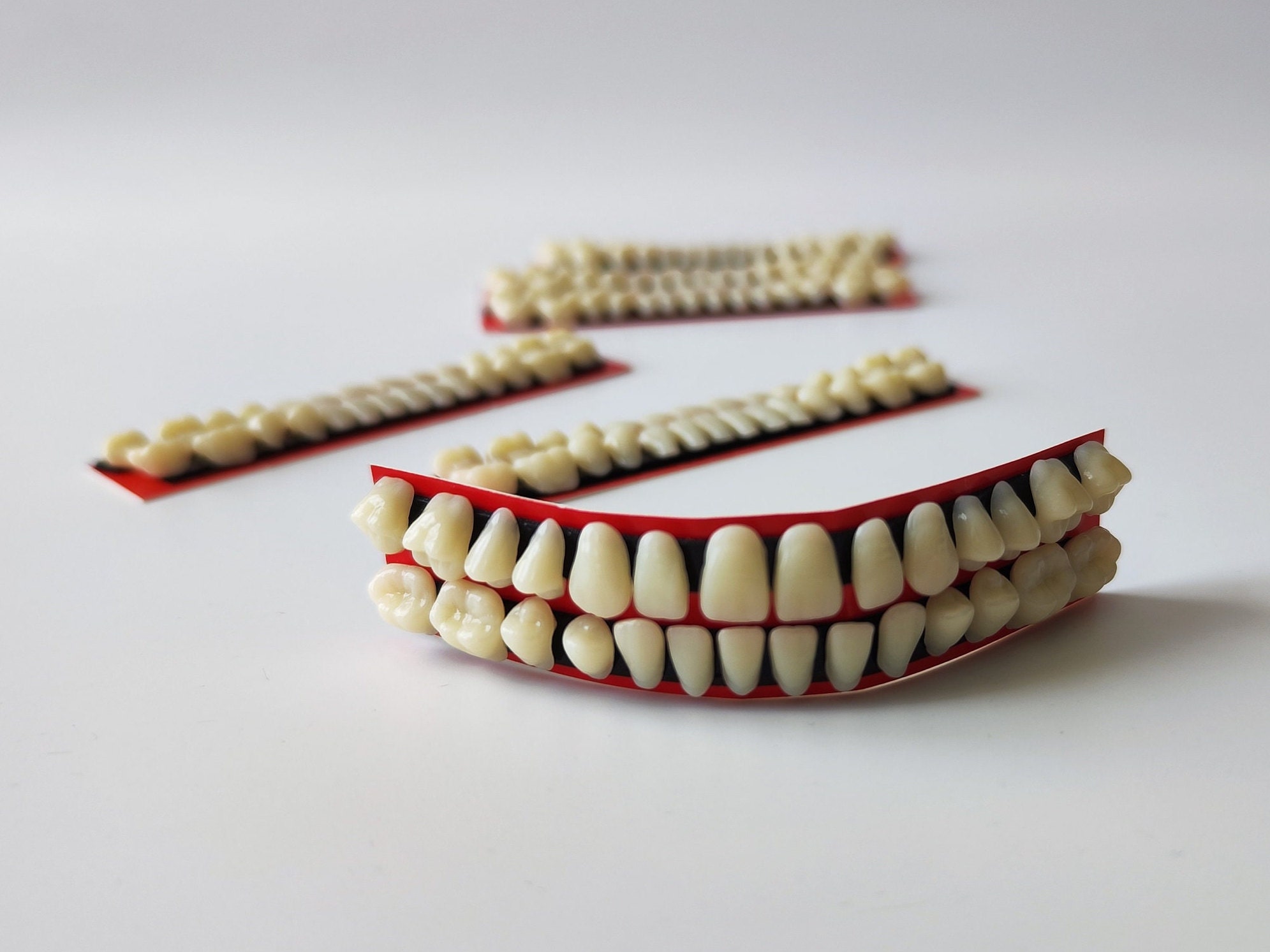 Acrylic Resin Teeth Denture False Teeth 28 Tooth Realistic Tooth Set ...