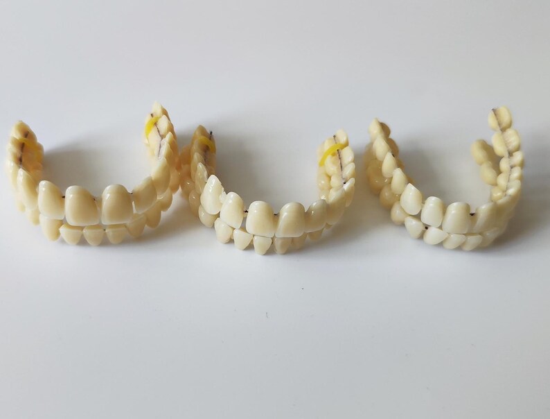 Realistic False Teeth - Full Set of Teeth Denture False Teeth 28 Tooth ...