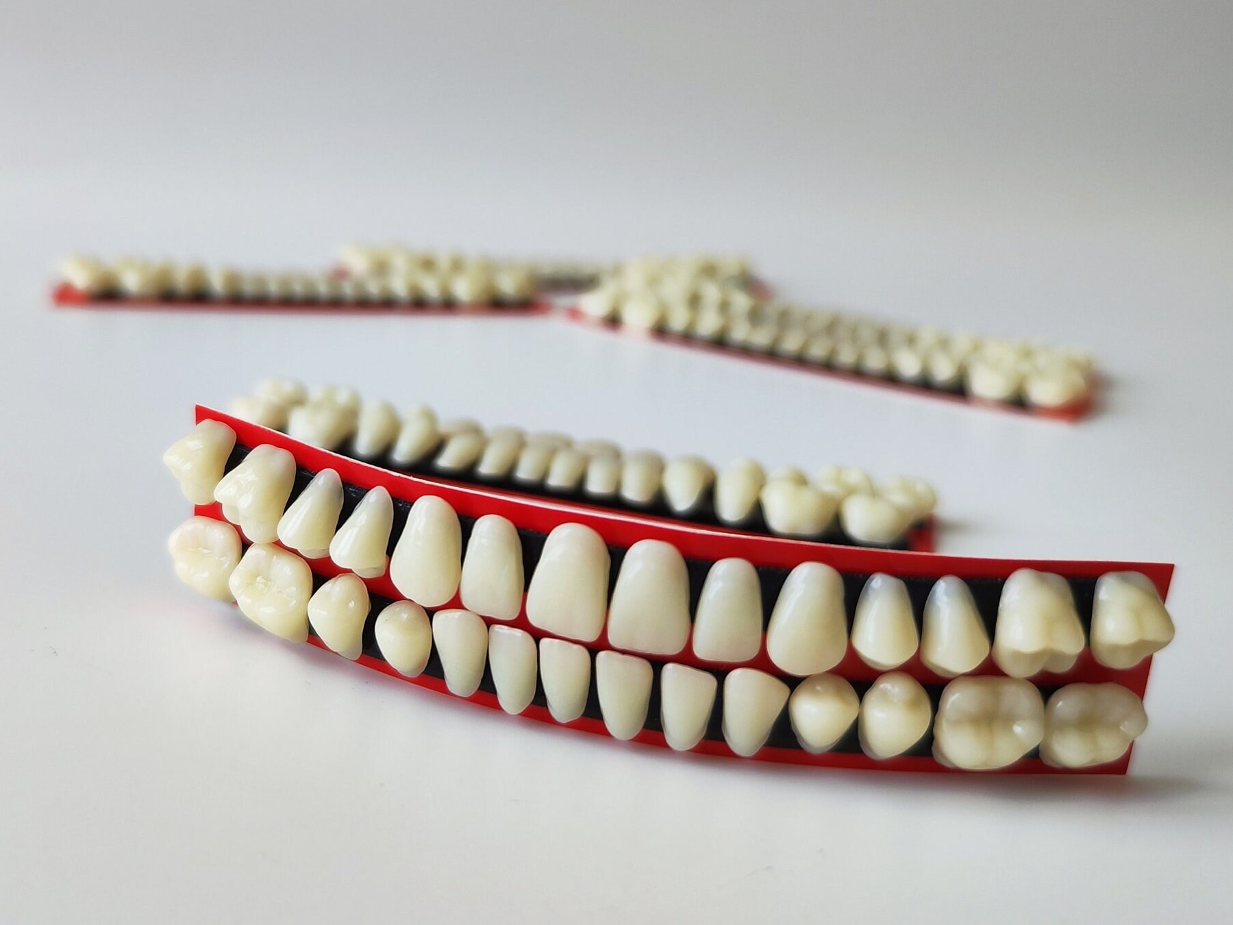 Acrylic Resin Teeth Denture False Teeth 28 Tooth Realistic Tooth Set ...