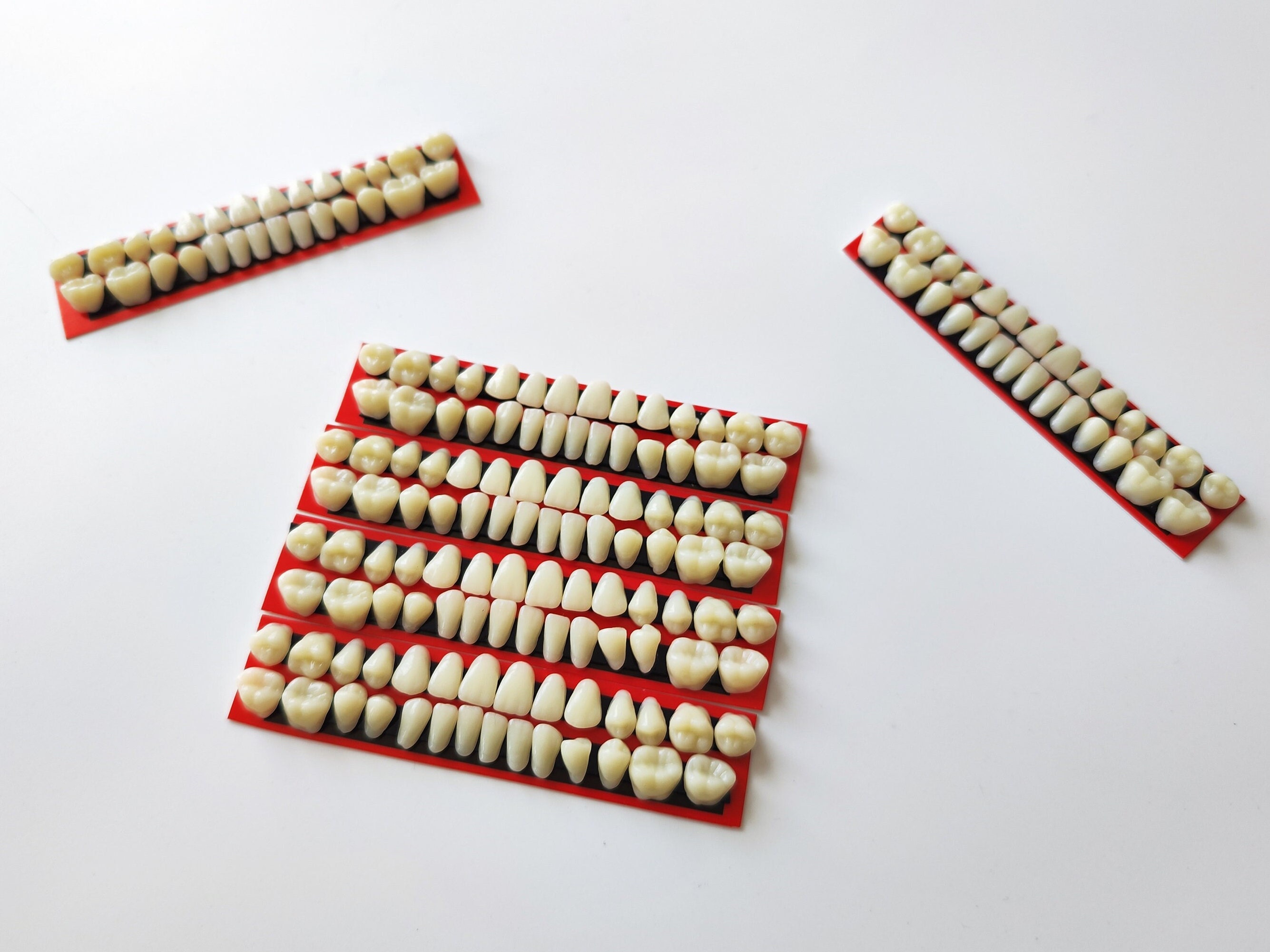 Acrylic Resin Teeth Denture False Teeth 28 Tooth Realistic Tooth Set ...