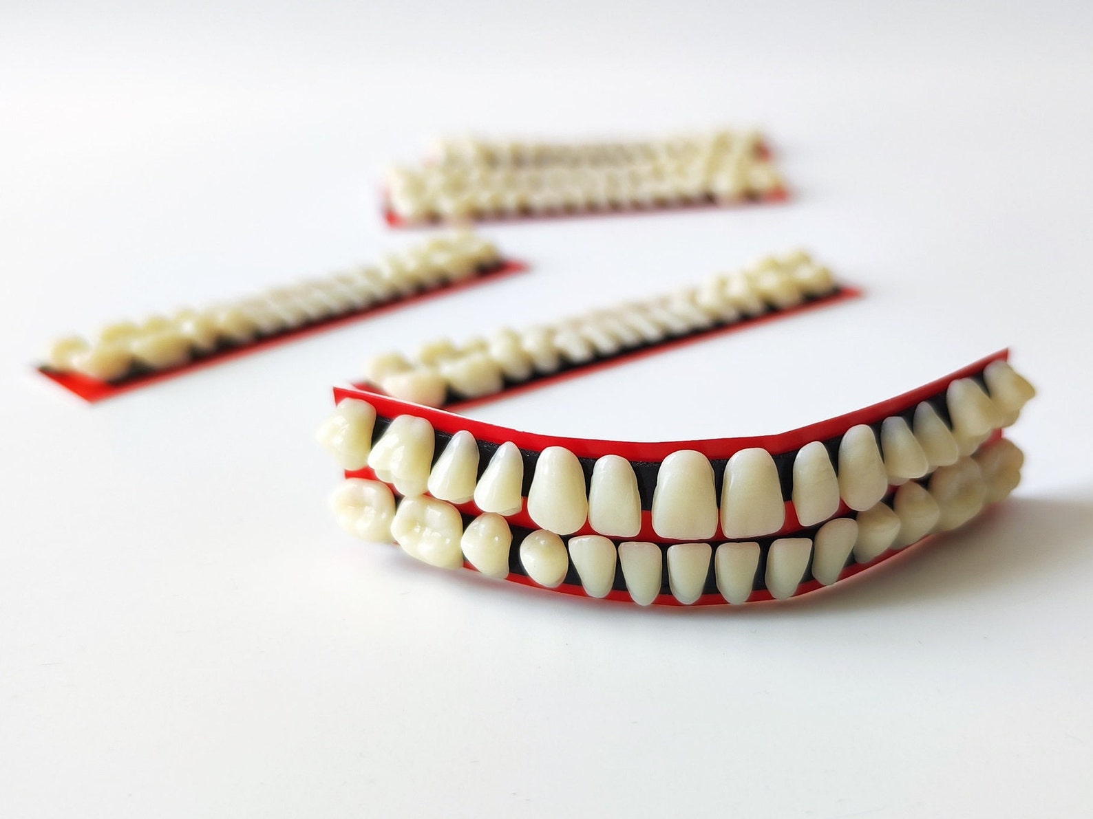 Acrylic Resin Teeth Denture False Teeth 28 Tooth Realistic Tooth Set ...