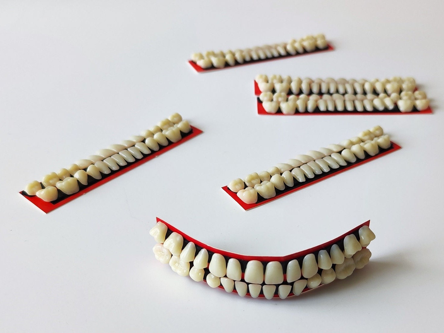 Acrylic Resin Teeth Denture False Teeth 28 Tooth Realistic Tooth Set ...