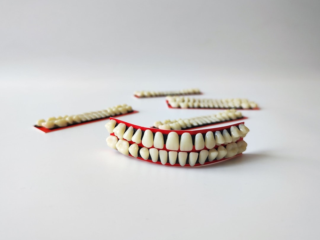 Acrylic Resin Teeth Denture False Teeth 28 Tooth Realistic Tooth Set ...