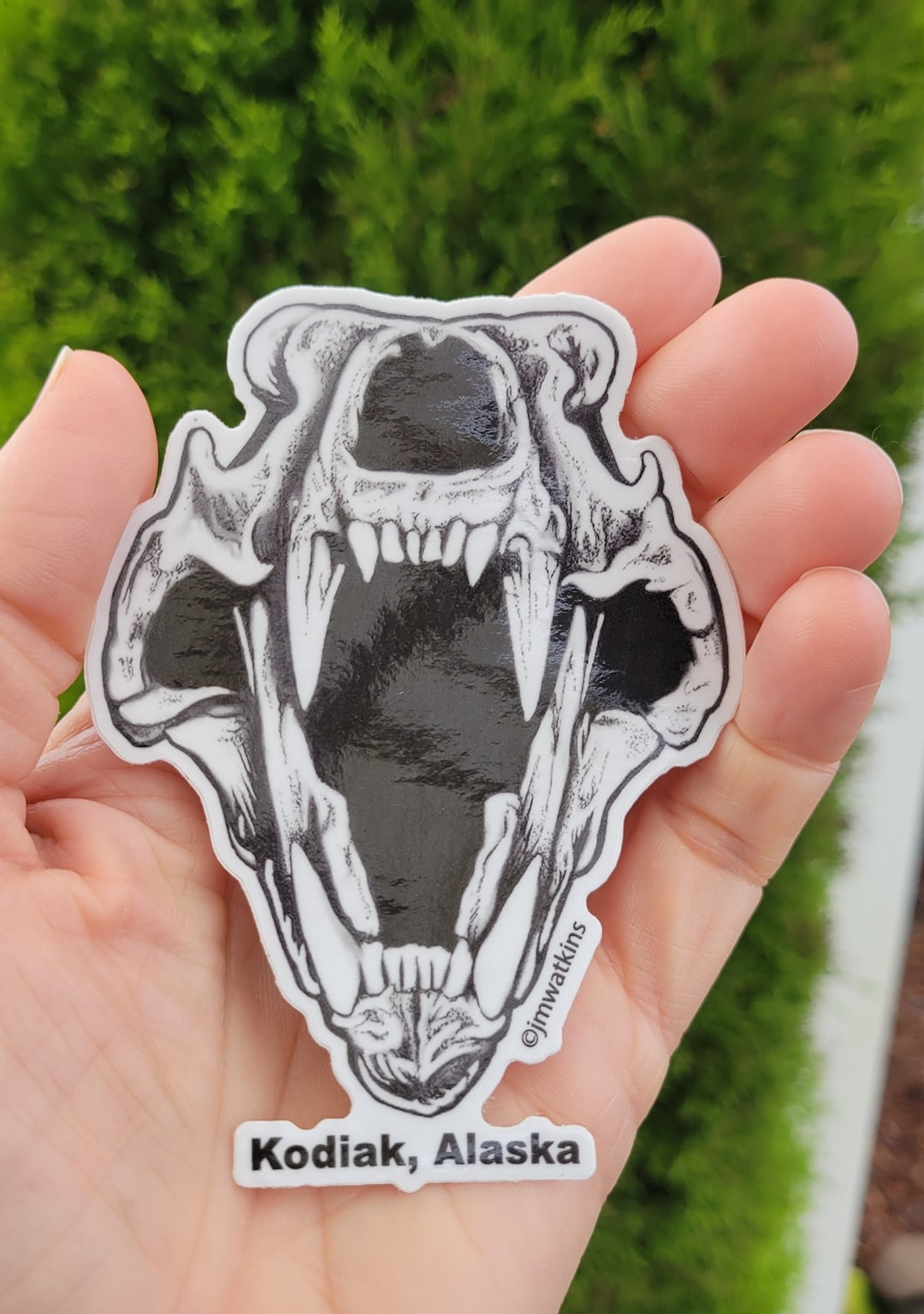 4 In. Kodiak Bear Skull, Sticker/decal - Etsy