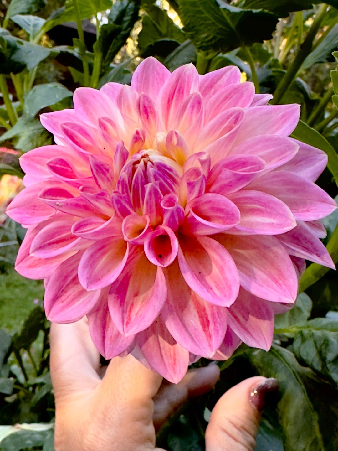 Bloomquist Alan - Etsy