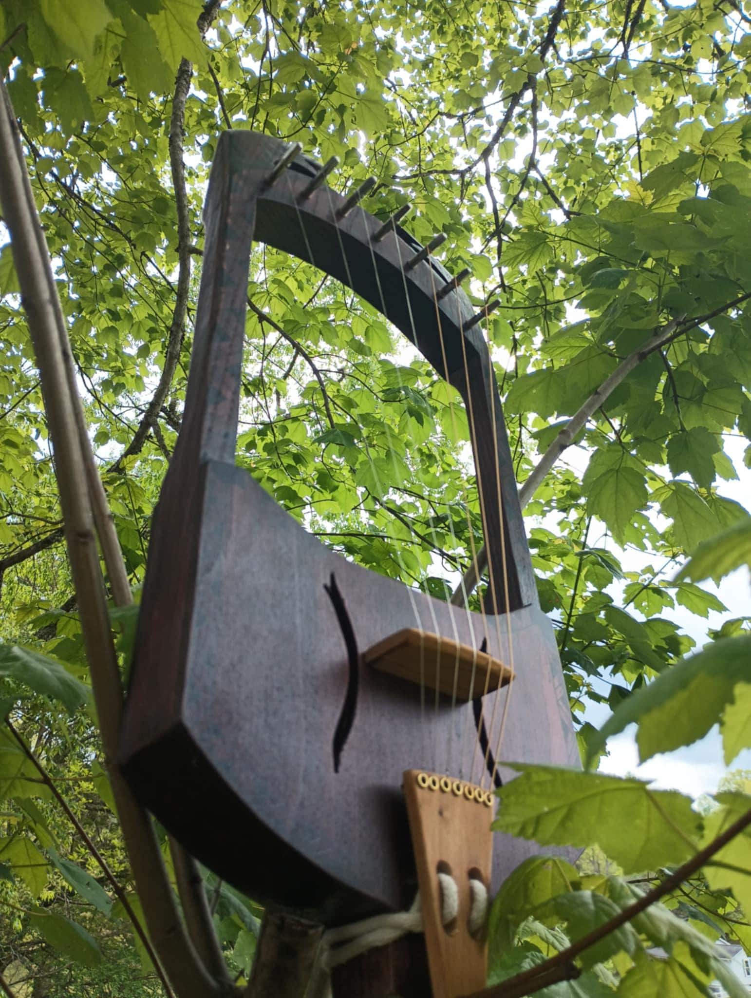 Snakepit Poetry" 7 String Lyre - Etsy