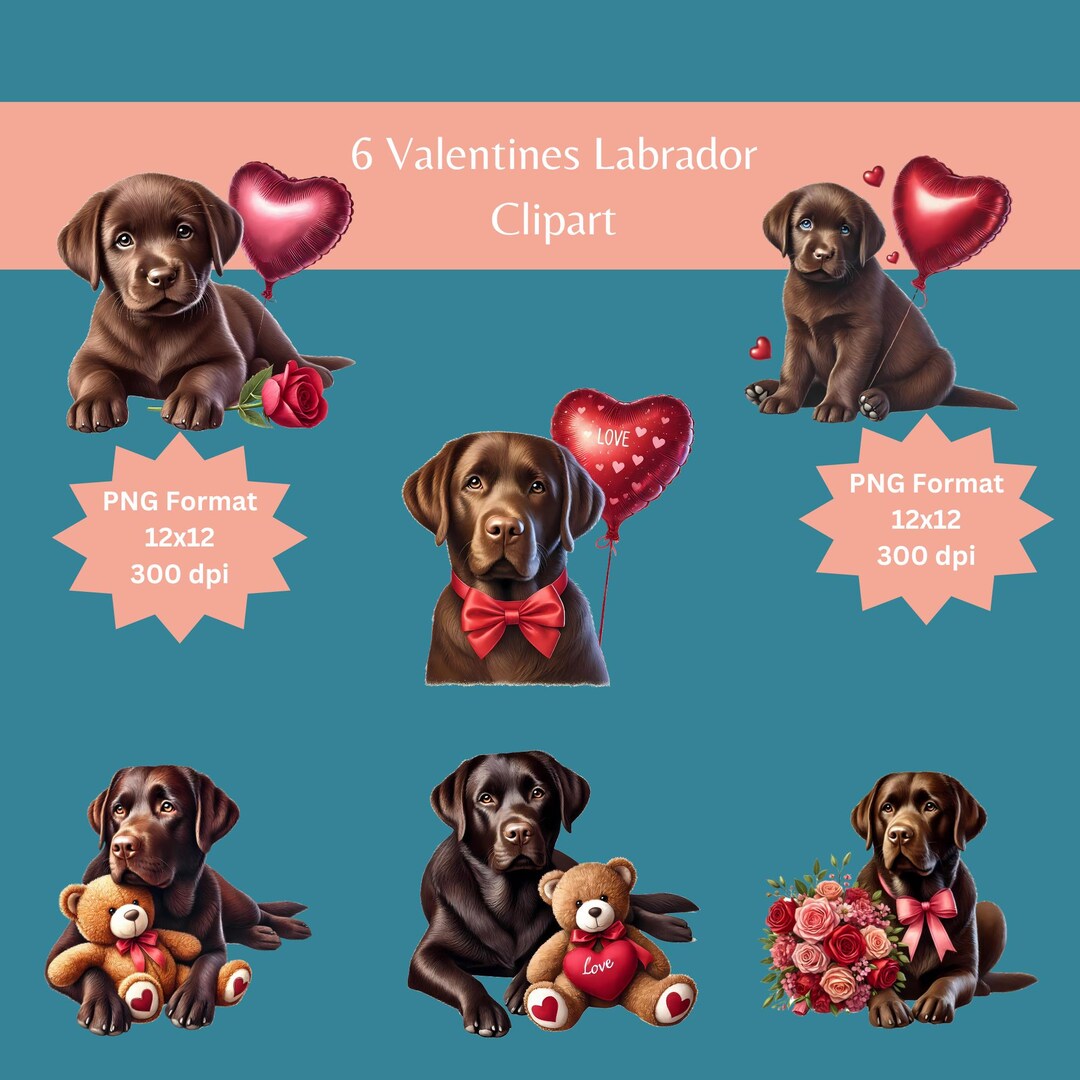 Chocolate Labrador Valentines Clipart Bundle (PNG & JPEG) - Etsy