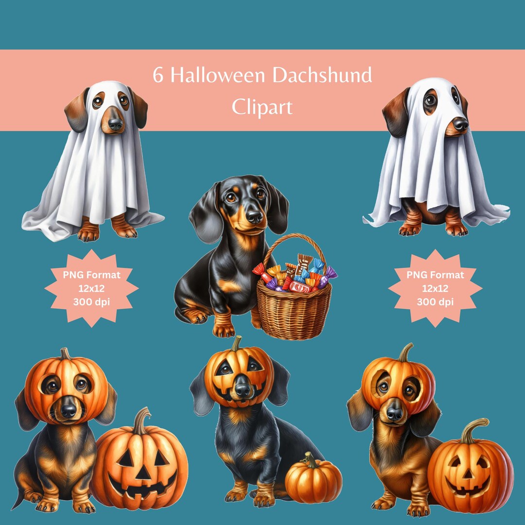Halloween Dachshund Clipart Bundle (PNG Files) - Etsy