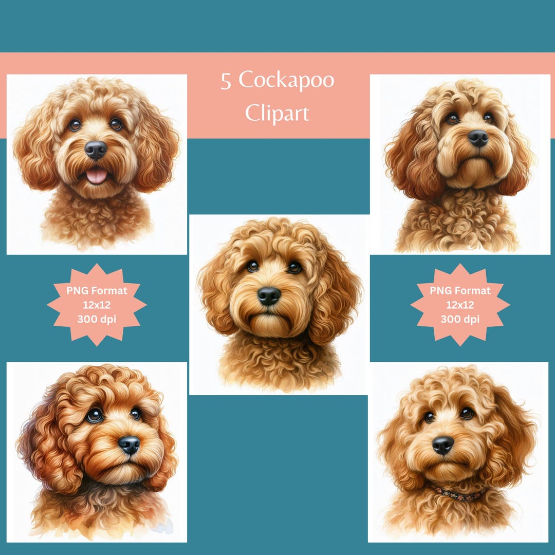 Cockapoo, Cockapoo Art, Cockapoo Dogs, Dog Clipart, Dog Images, Clipart ...