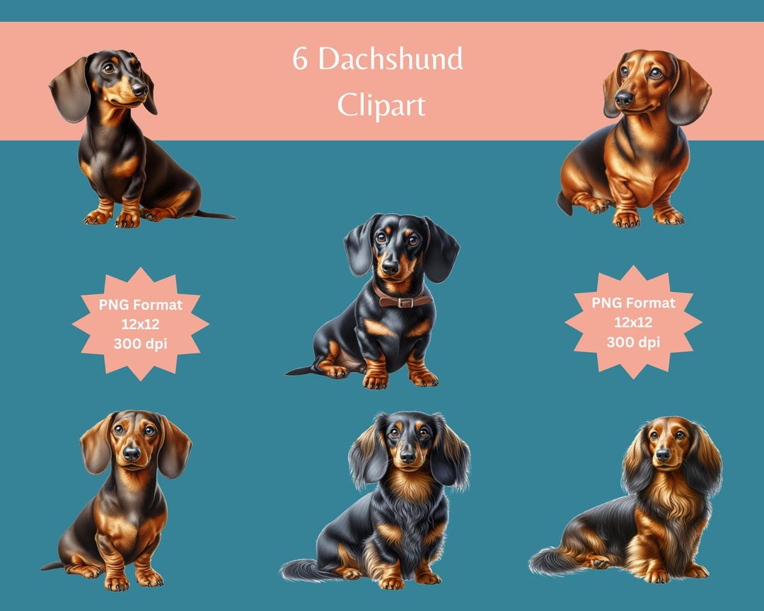Dachshund Clipart, Dog Clipart, Dachshunds, Sausage Dog, Dachshund Art ...
